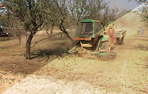 Mechanical self-propelled harvester SEMEK 1000 | FACMA - Construction ...